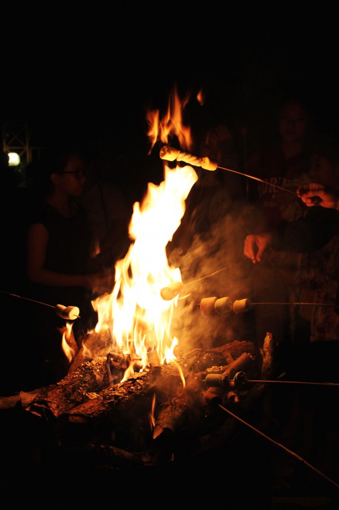 Bonefire by Daphne R - You The Photographer