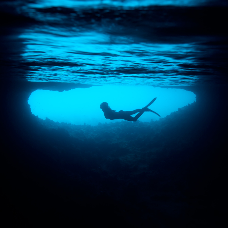 Dive with Elena Kalis Breathtaking Underwater Photography